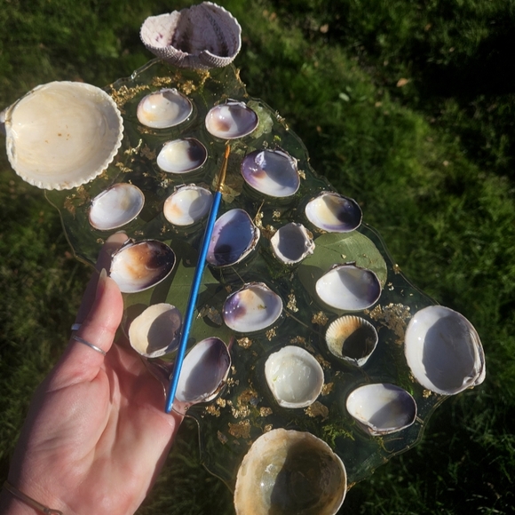 Hand Crafted | Art | Seashell Painters Pallet Oddities Collection ...